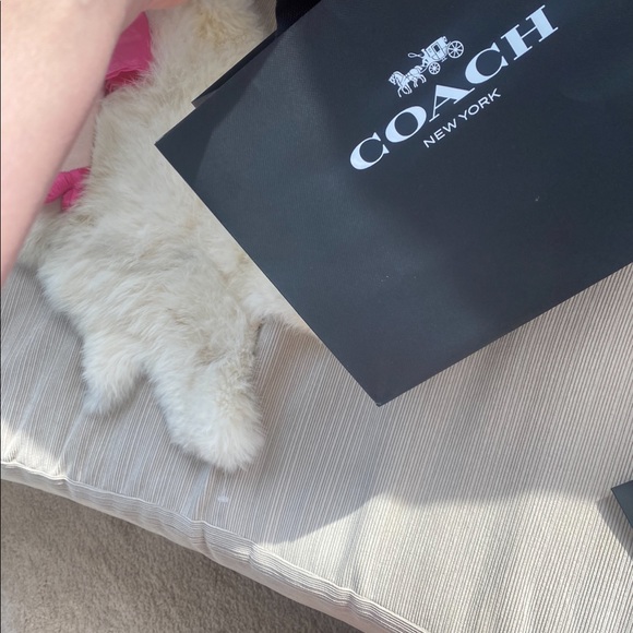 Bags | Coach Paper Bag With Gift Receipts | Poshmark